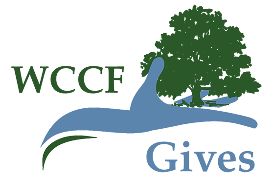 Donora Public Library – A Member of the Washington County Library System