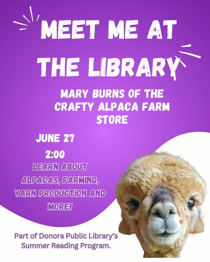 Donora Public Library – A Member of the Washington County Library System